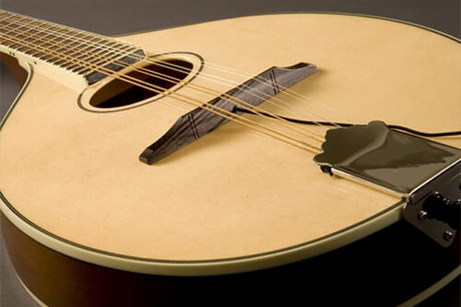 Nashville Series M-400 Flat Top Mandolin Pickup